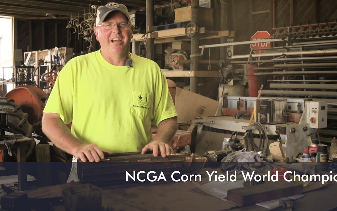 Dave Hula Cuts Corn with BT CHOPPER® Stalk Rolls